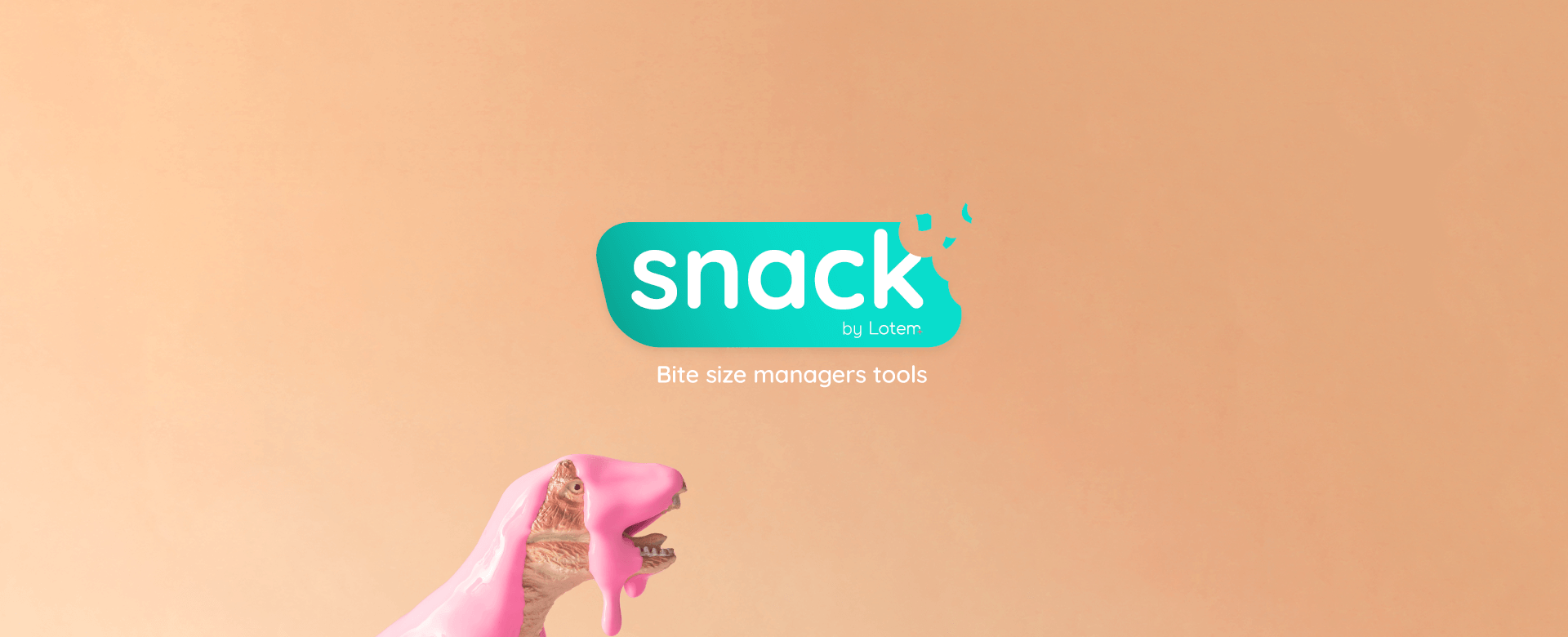 מה זה snack? - Lotem